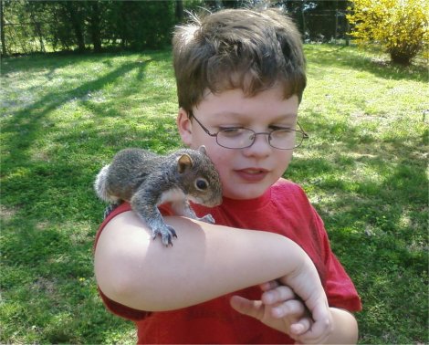 Raising squirrels - BoWilliams.com